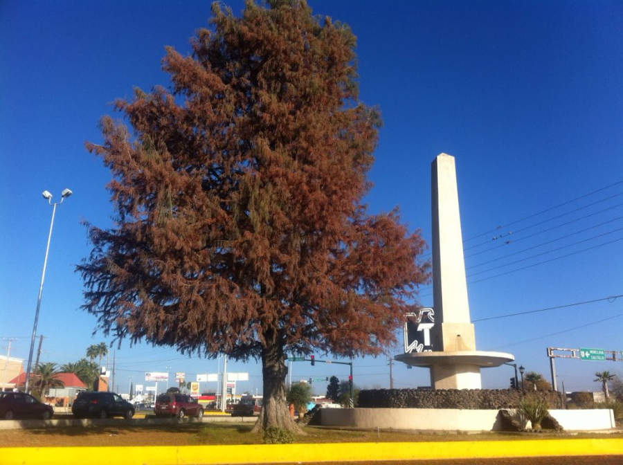 Vive la experiencia en Sabinas: Un viaje inolvidable | Tiquetes Baratos