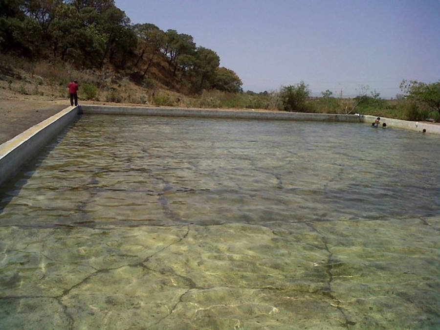 Vive la experiencia en San Isidro Mazatepec: Un viaje inolvidable ...