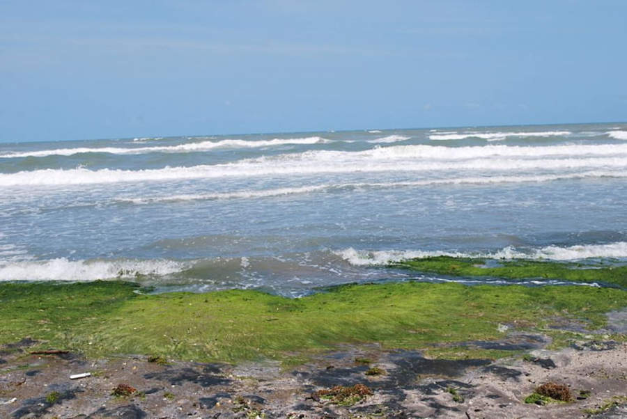 Vive la experiencia en Poza Rica: Un viaje inolvidable | PriceTravel