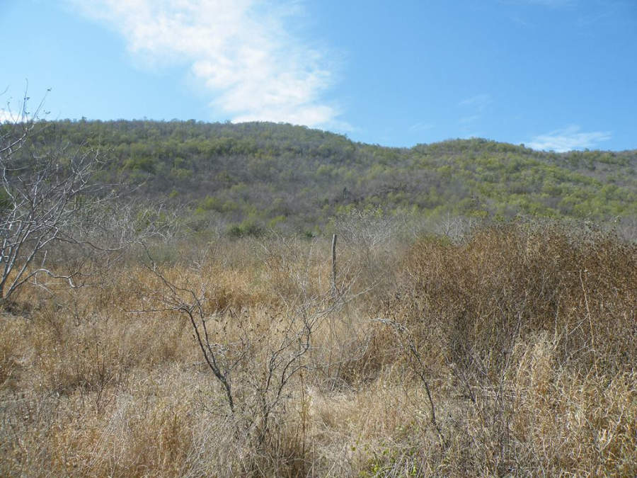 Descubre los principales destinos turísticos de Ciudad Victoria ...