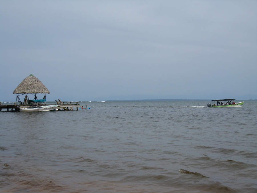 Aventúrate en Isla Bastimentos: Explora y descubre lugares fascinantes ...