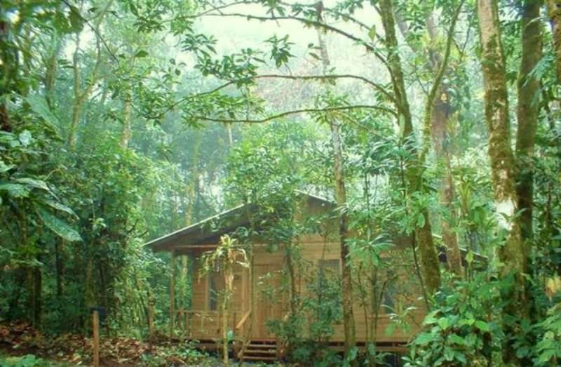Vive la experiencia en Turrialba: Un viaje inolvidable | PriceTravel