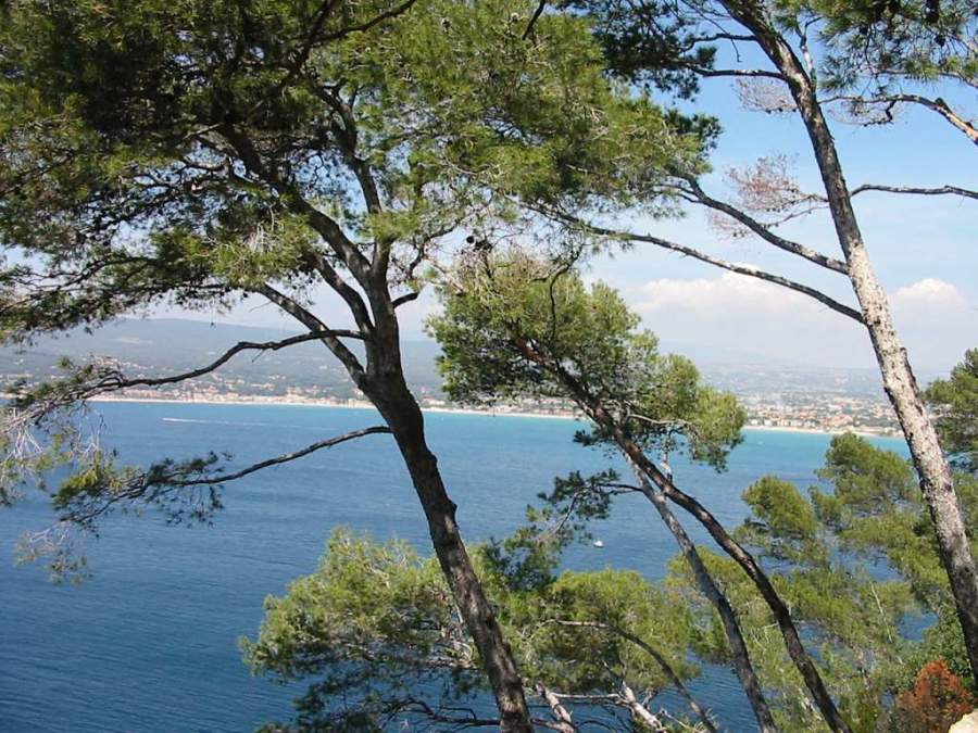 Vive la experiencia en Saint-Cyr-sur-Mer: Un viaje inolvidable ...