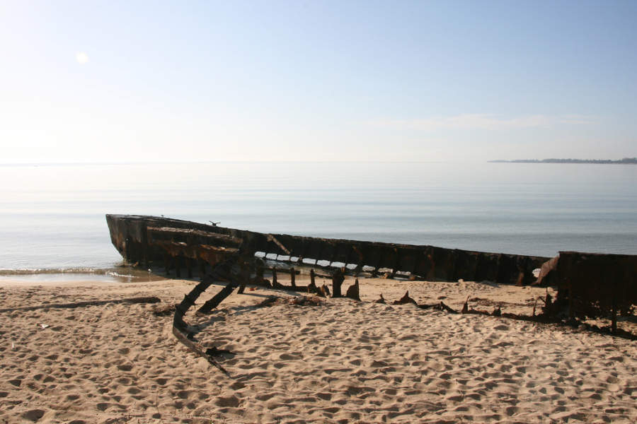 Vive la experiencia en Playa Larga: Un viaje inolvidable | PriceTravel