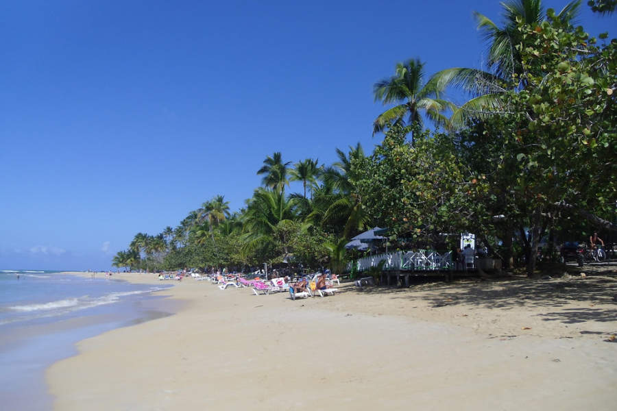 Las Terrenas: Descubre el encanto de este destino turístico | PriceTravel