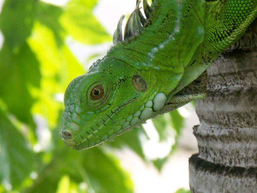 Vive la experiencia en Paradera: Un viaje inolvidable | Tiquetes Baratos